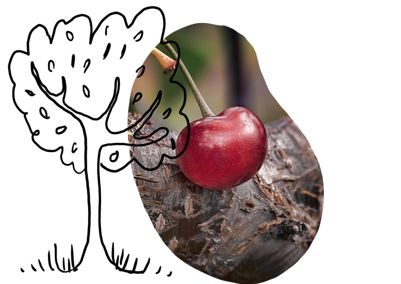 Accueil design - Potagers des Alpes